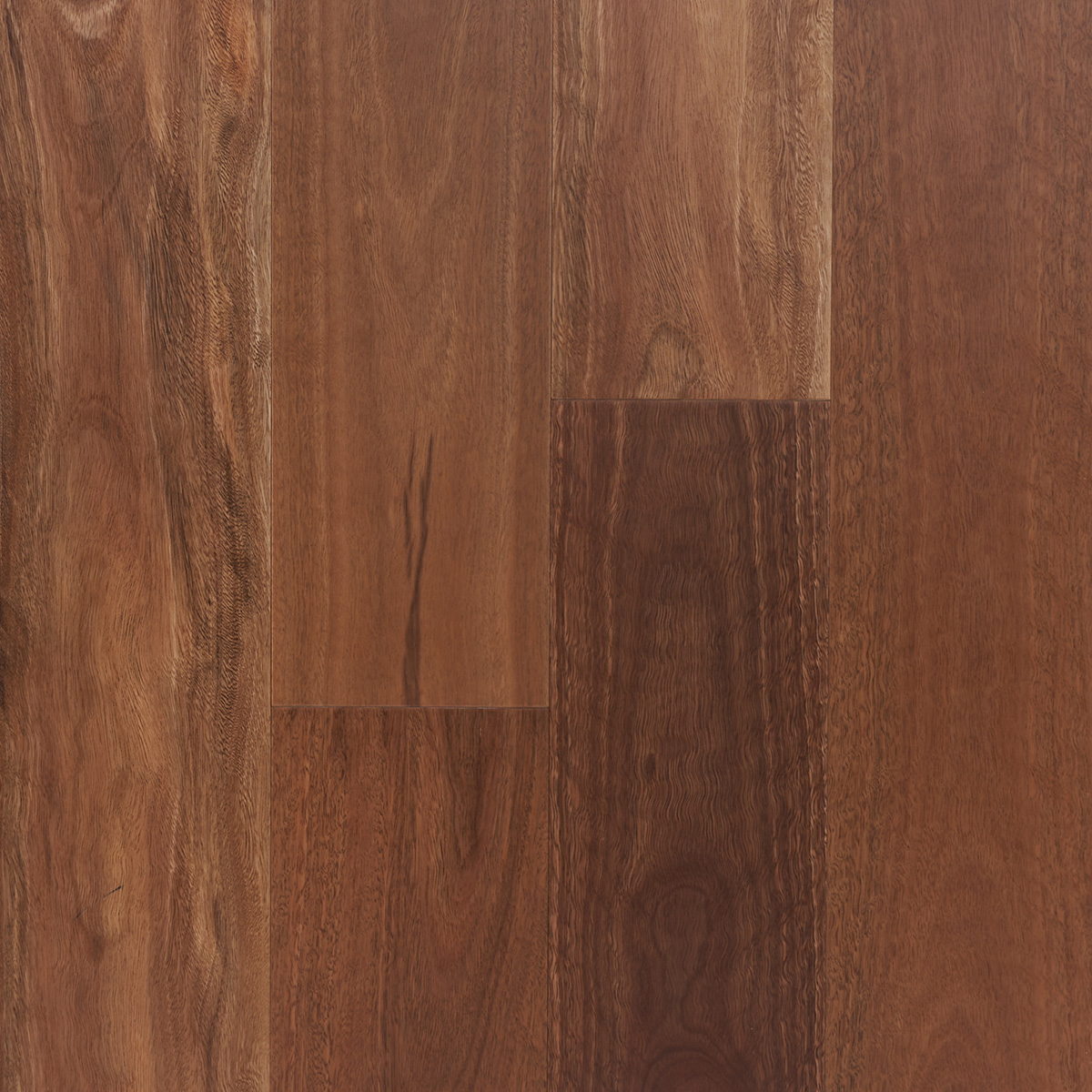 Spotted Gum - MONTÉ Flooring
