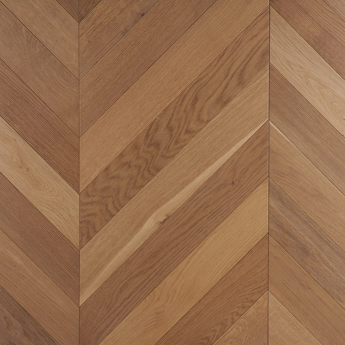 Home - MONTÉ Flooring